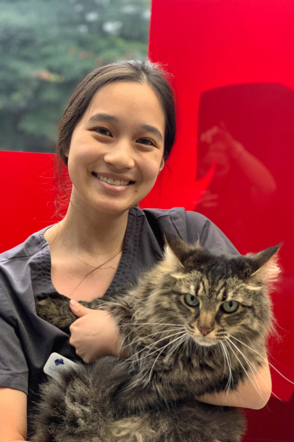 About Us - Expert Pet Healthcare | Whitehorse Veterinary Hospital